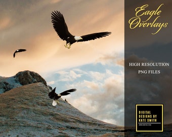 Eagle Overlays - Etsy