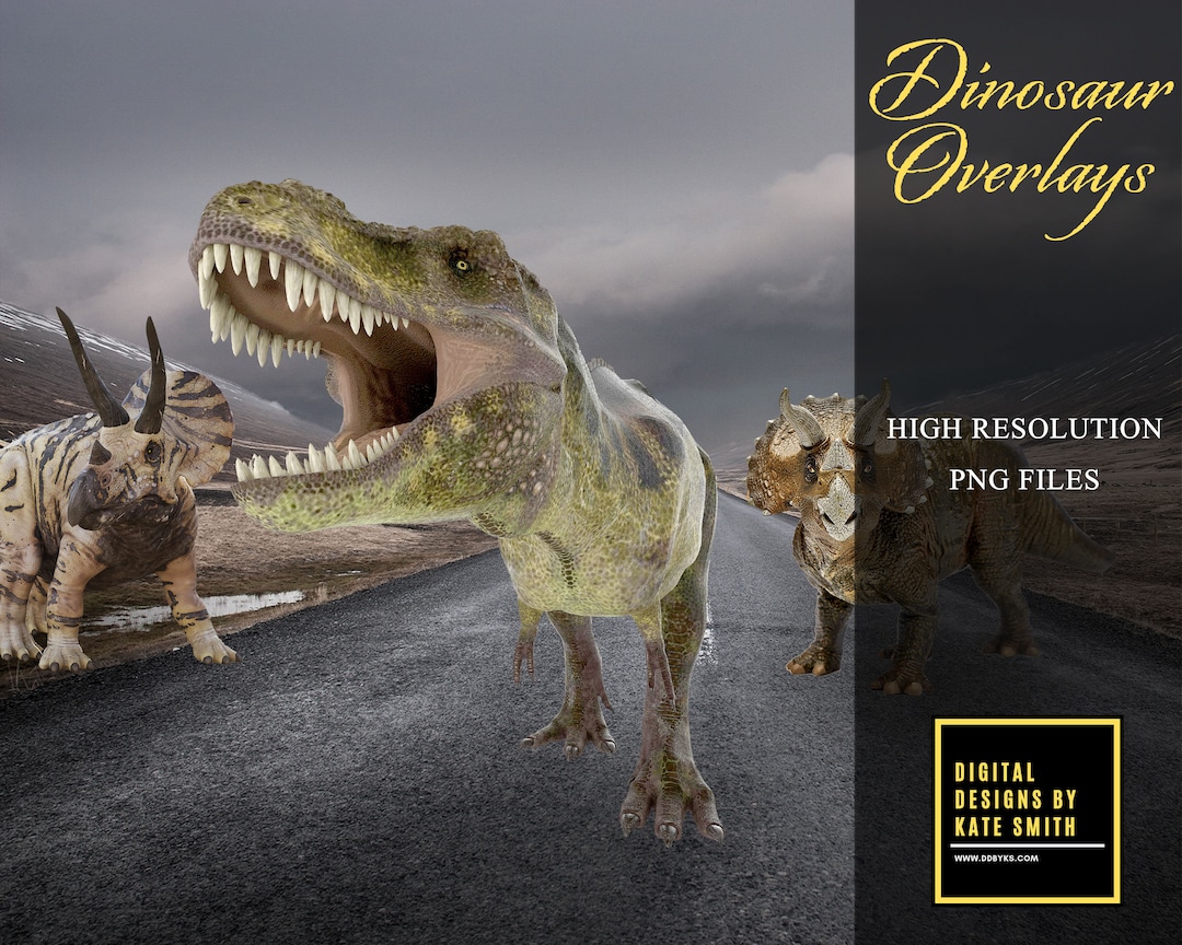 Assorted Dinosaur Overlays Separate PNG Files High - Etsy
