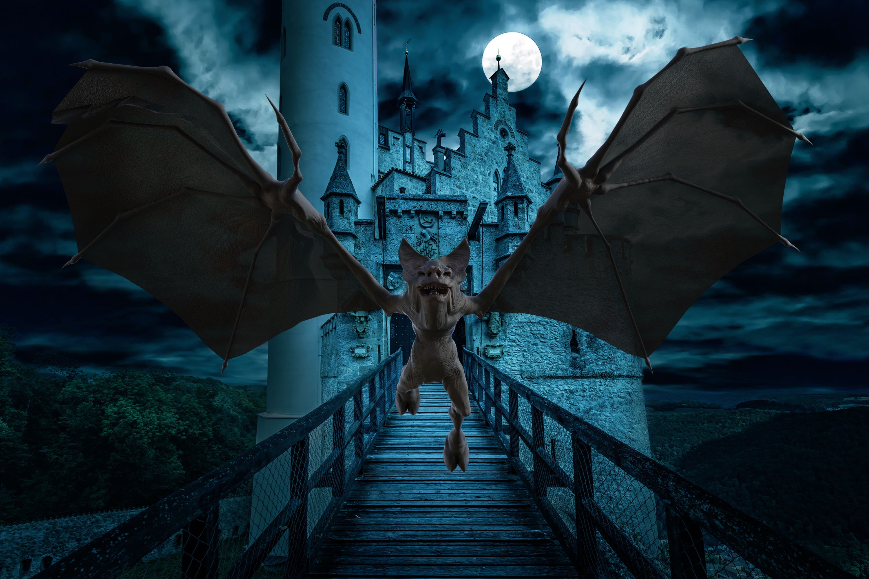 The Bat Overlays Separate PNG Files High Resolution Instant - Etsy