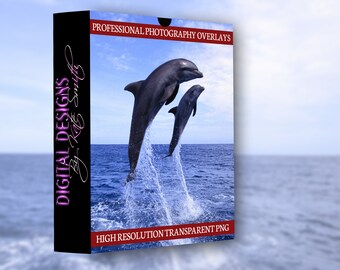 Dolphin Overlays | Etsy