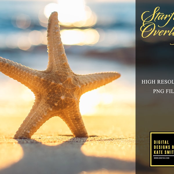 Starfish Shells - Etsy