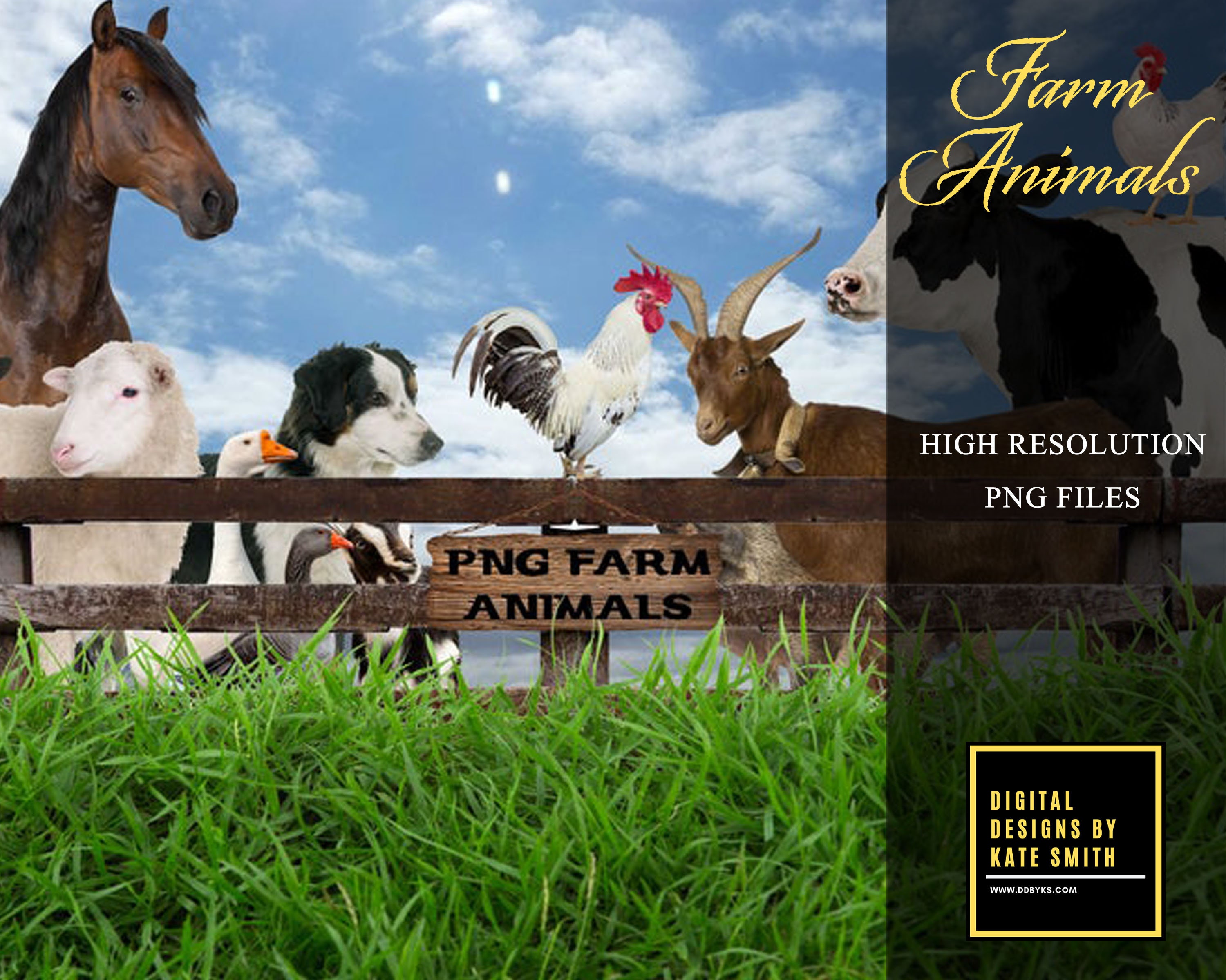 High Resolution Images Of Animals