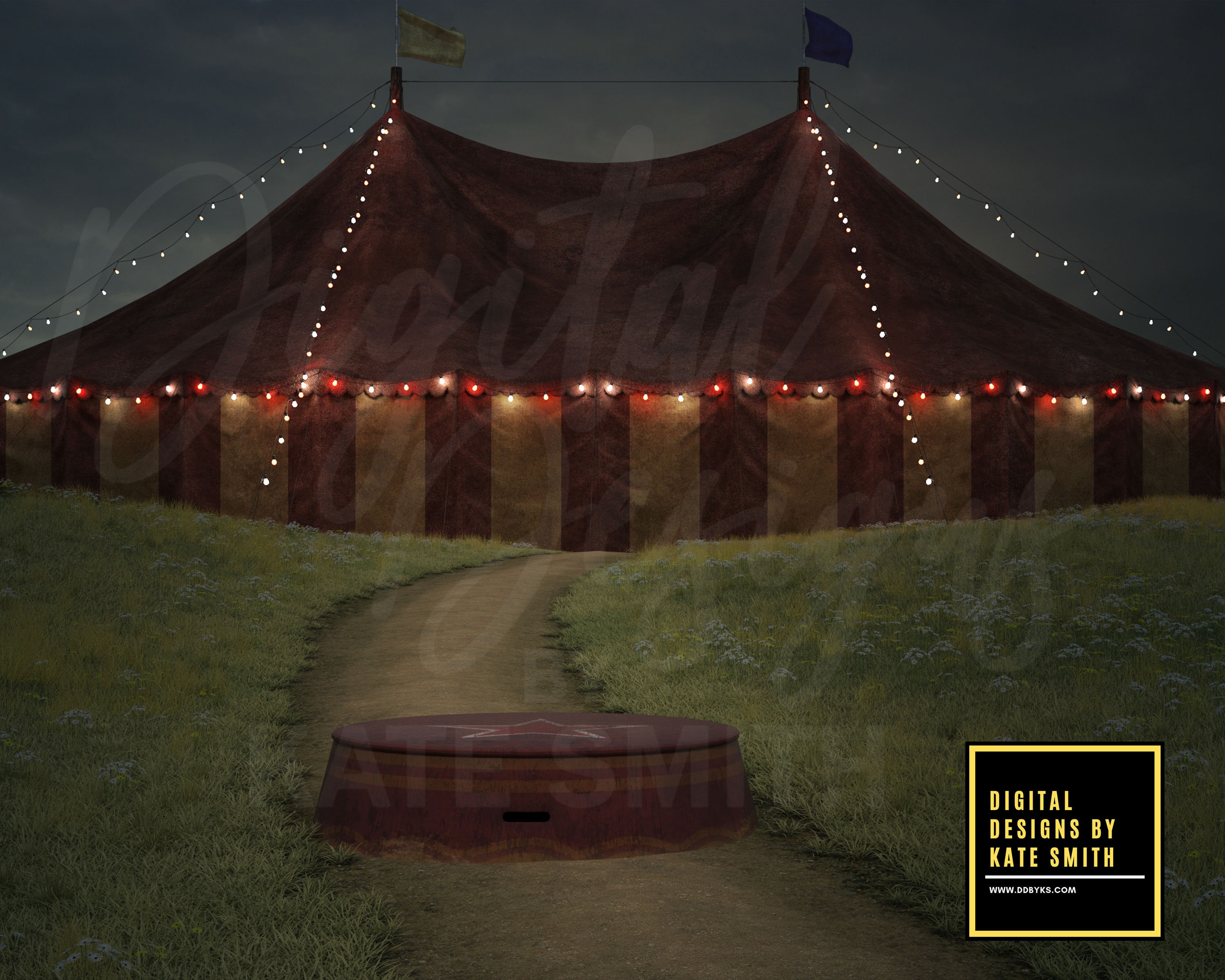 Circus At Night