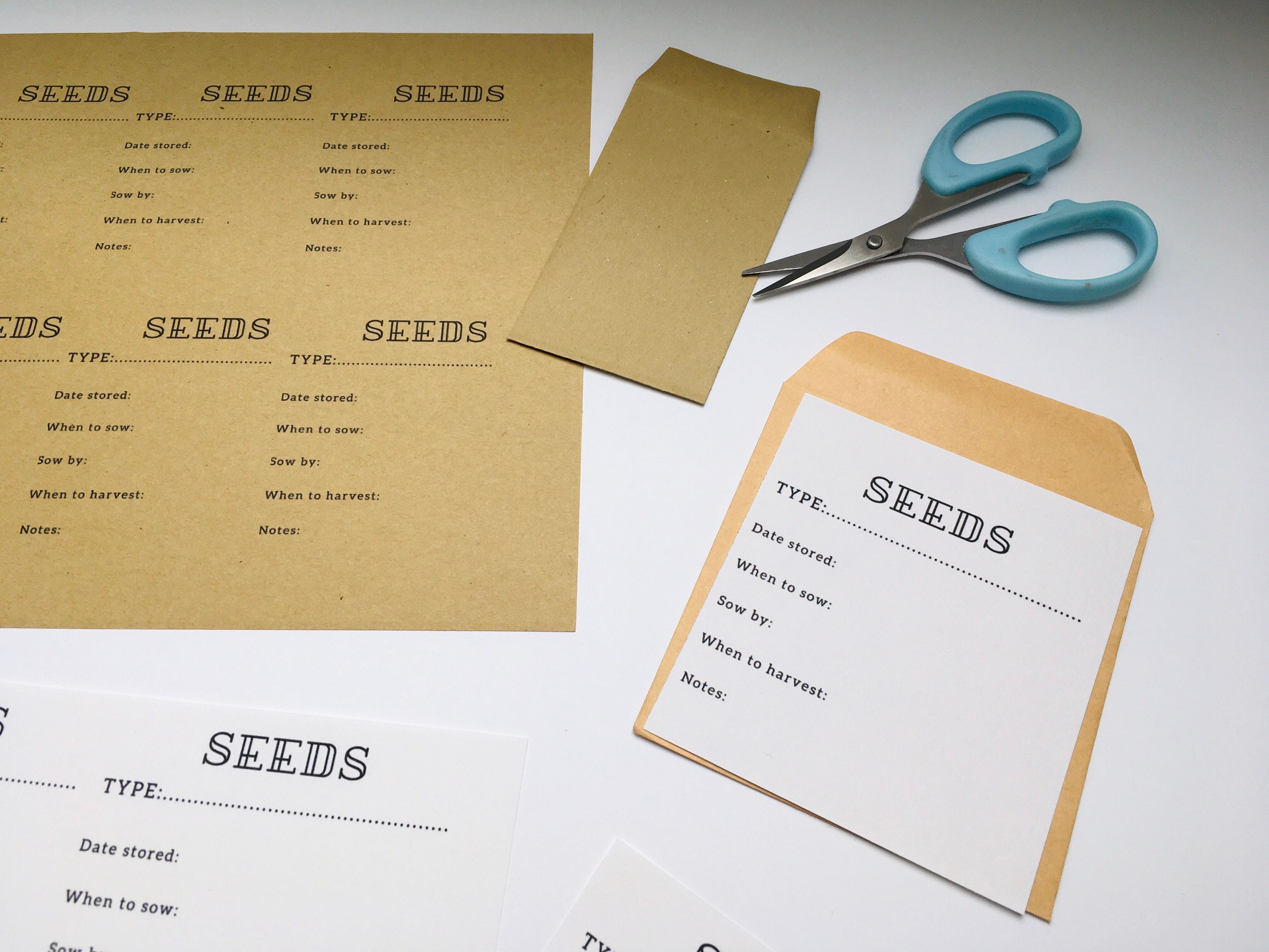 Printable Seed Packet Labels, Printable Seed Envelope Labels, Tags for ...