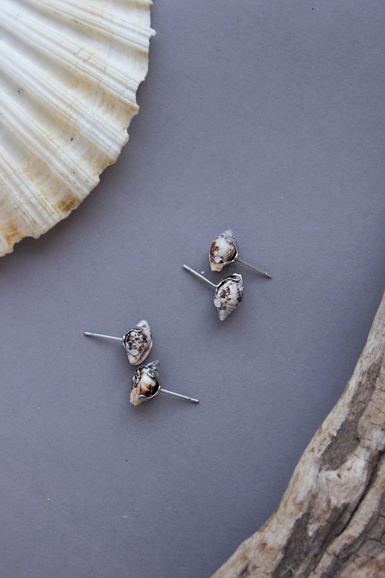 Mermaid Tiny Shell Studs, Minimal Everyday Beach Jewelry, Natural ...