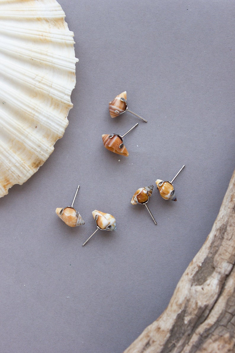 Mermaid Tiny Shell Studs, Minimal Everyday Beach Jewelry, Natural ...
