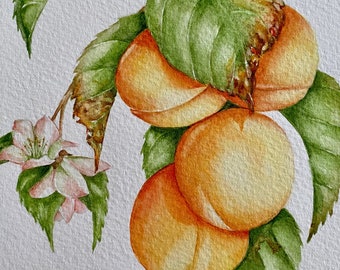 Purple Iris, Original Painting by Norma Robinson - Etsy UK