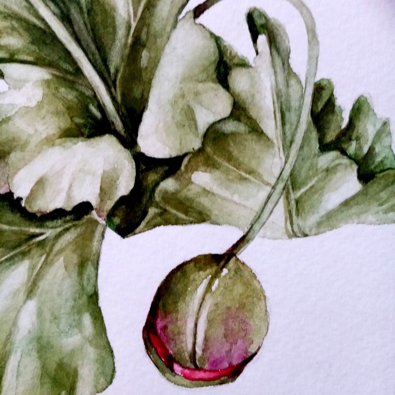 Poppy, Original Painting in Watercolour by Norma Robinson - Etsy UK