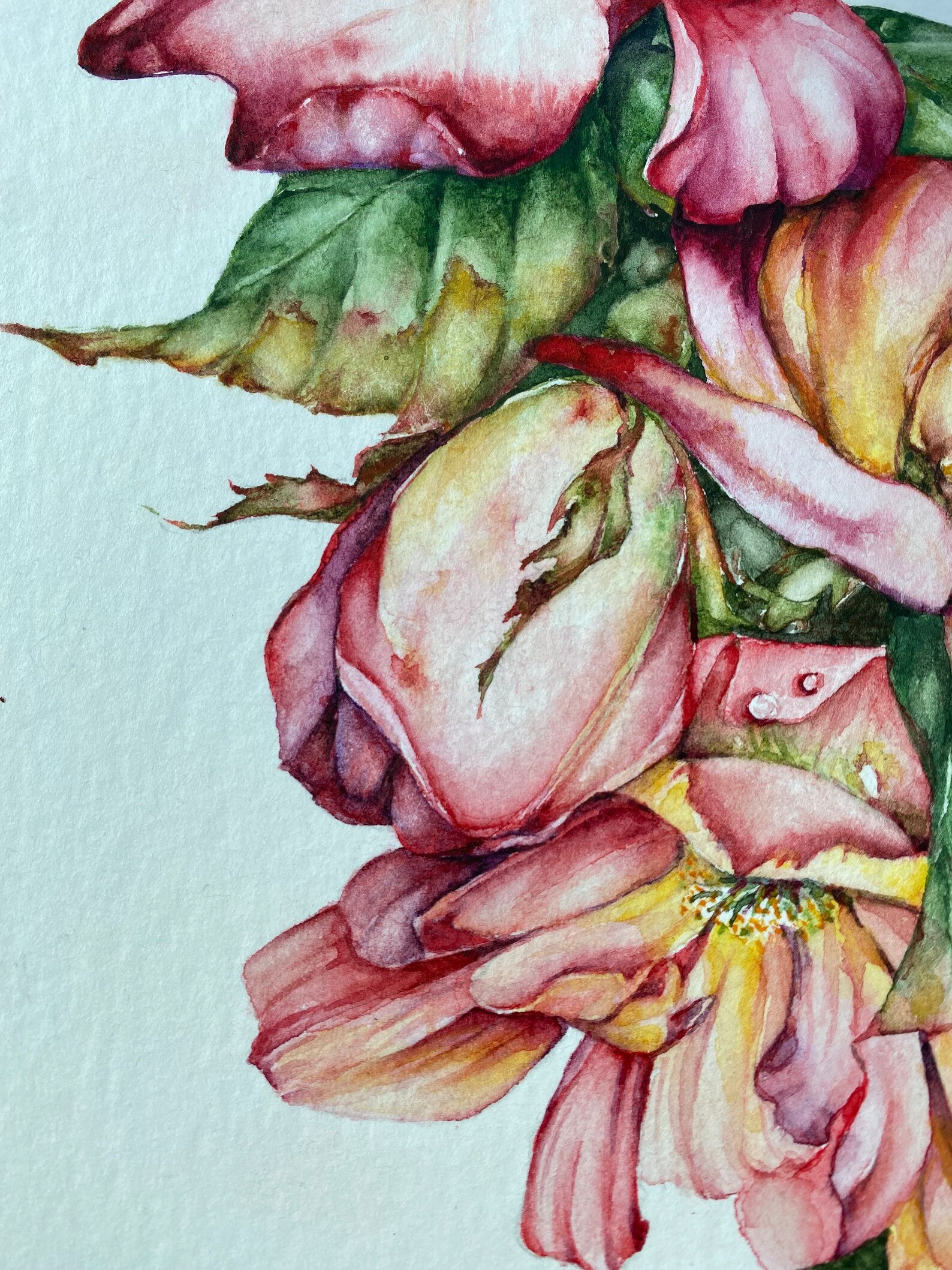 Roses in Their Glory, Original Painting in Watercolour by Norma ...