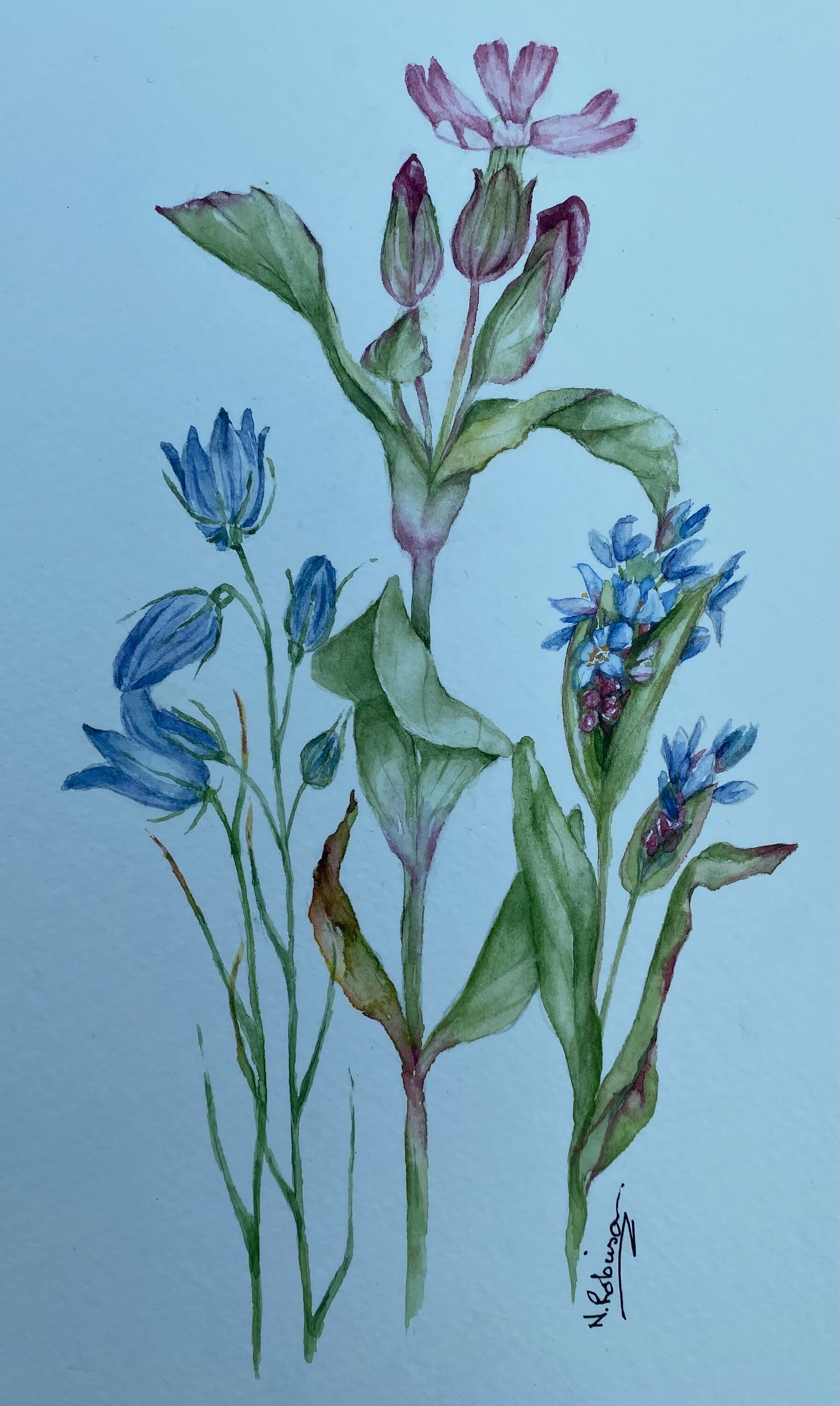 Wild Flowers , Original Painting in Watercolour by Norma Robinson - Etsy