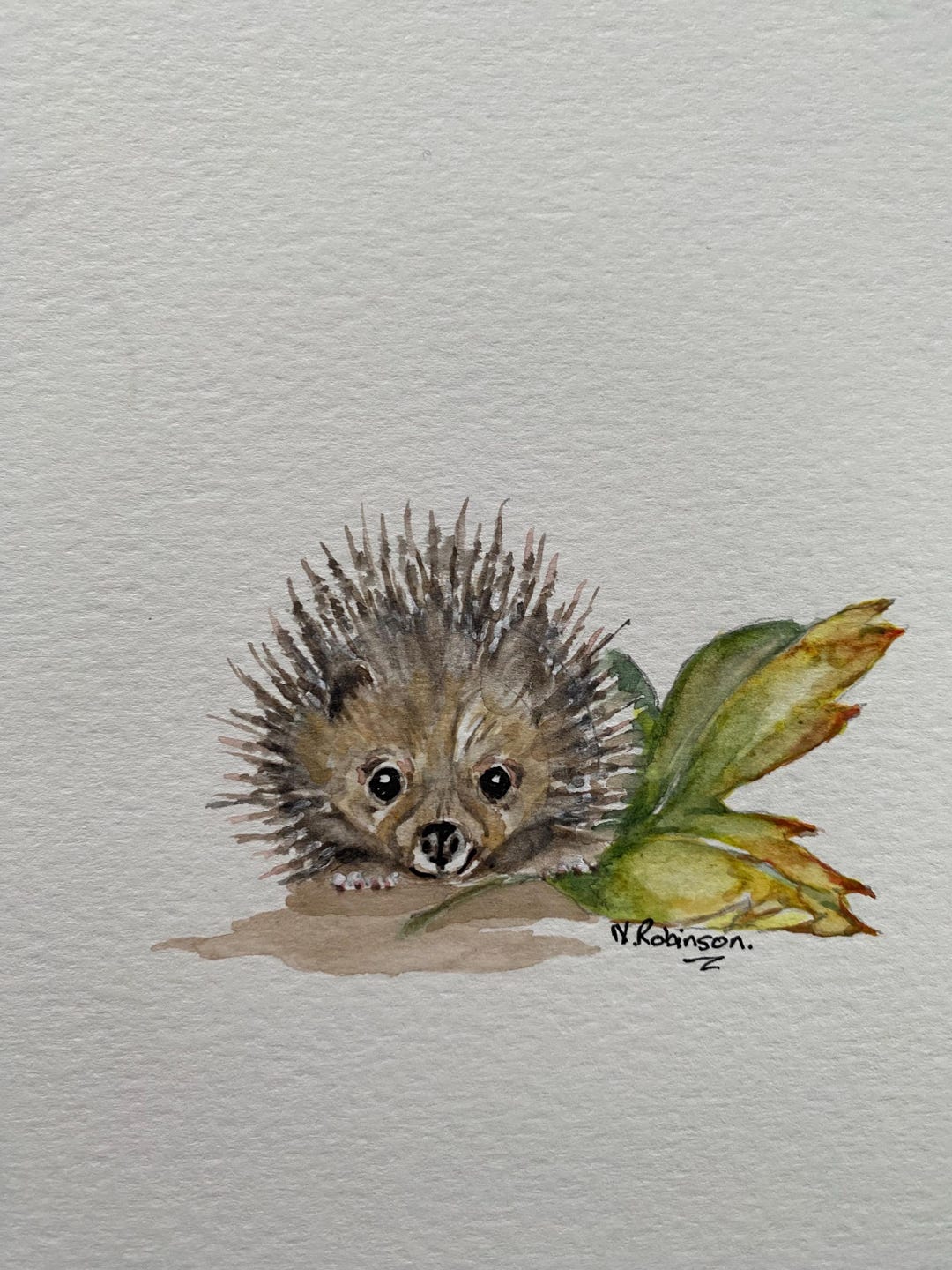 Hedgehog, Original Painting in Watercolour by Norma Robinson - Etsy