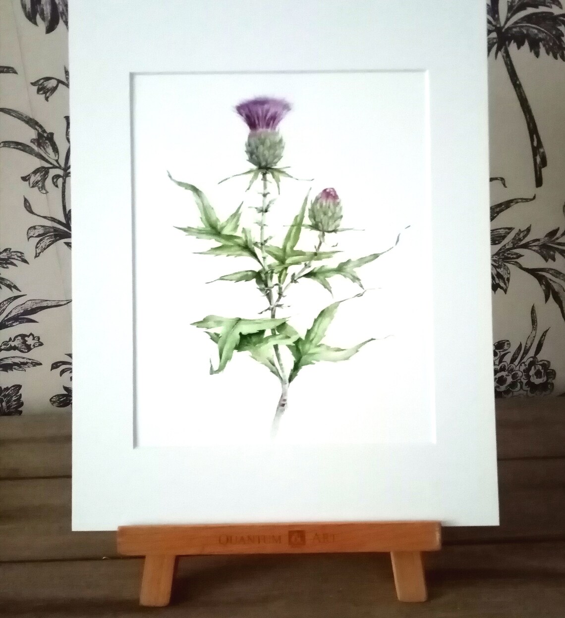 Scottish Thistle Limited Edition Print by Norma Robinson - Etsy