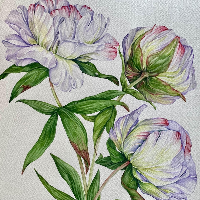 NormaRobinsonArt - Etsy UK