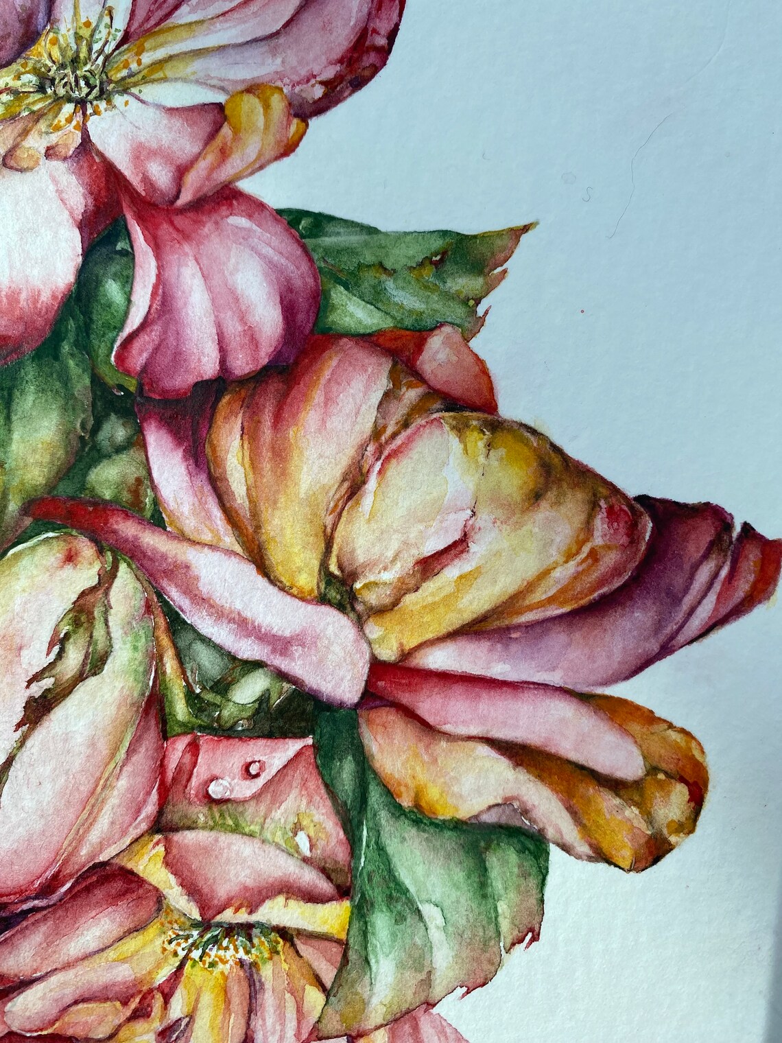 Wabi Sabi, Roses in Their Glory, Original Painting in Watercolour by ...