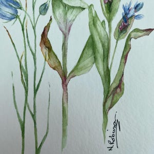 Wild Flowers , Original Painting in Watercolour by Norma Robinson - Etsy