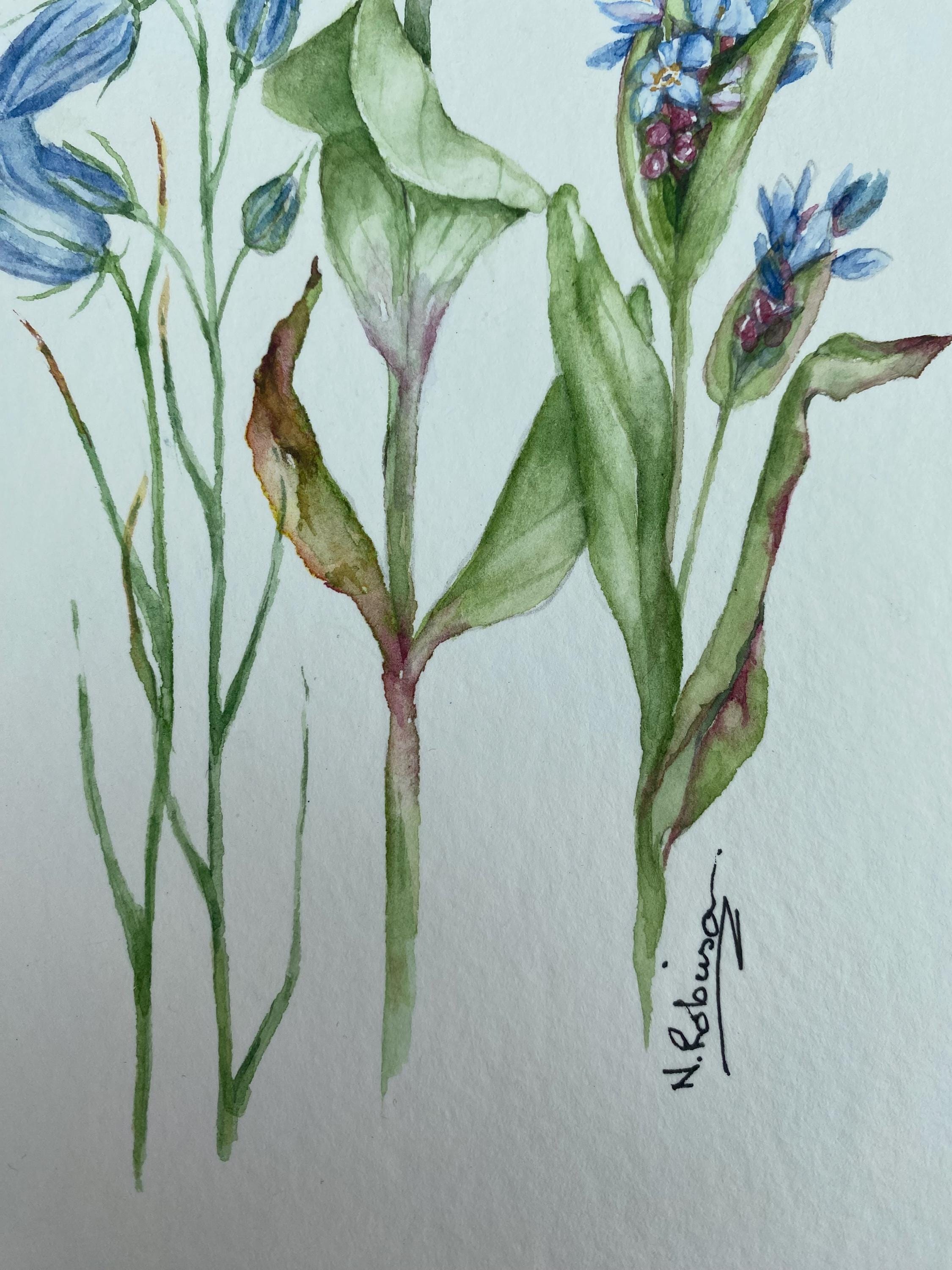 Wild Flowers , Original Painting in Watercolour by Norma Robinson - Etsy