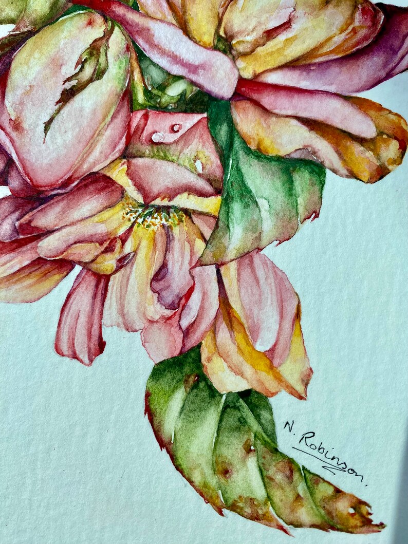 Roses in Their Glory, Original Painting in Watercolour by Norma ...