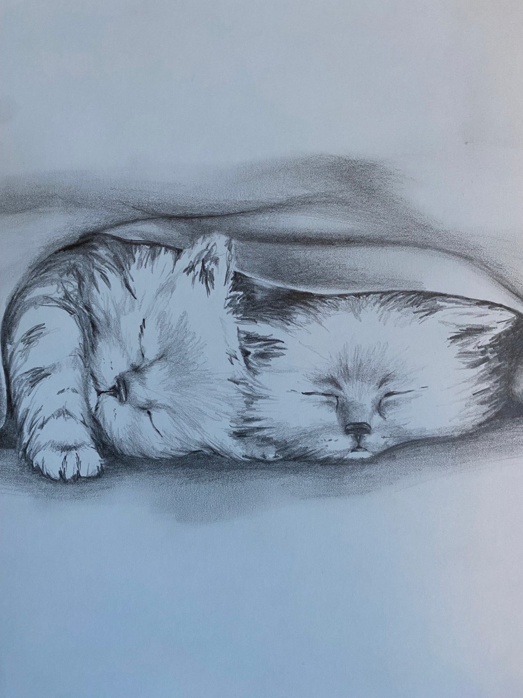 Vintage Drawing - Kittens. Original Drawing by Norma Robinson - Etsy