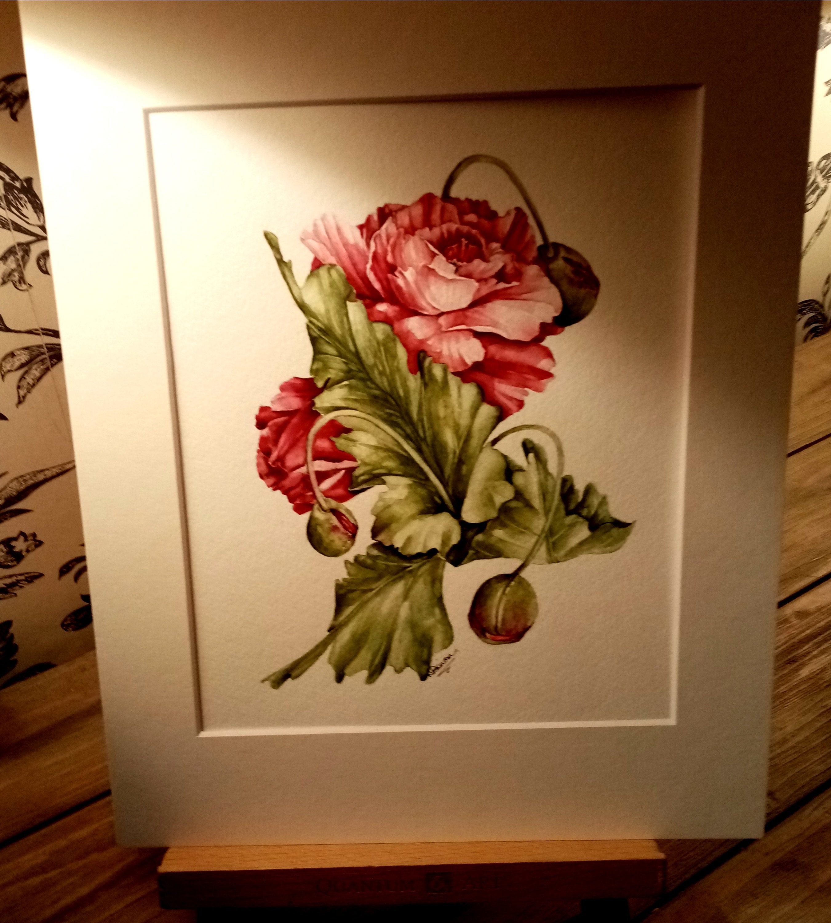 Poppy, Original Painting in Watercolour by Norma Robinson - Etsy