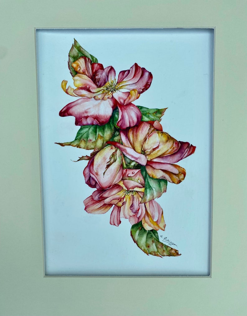 Roses in Their Glory, Original Painting in Watercolour by Norma ...