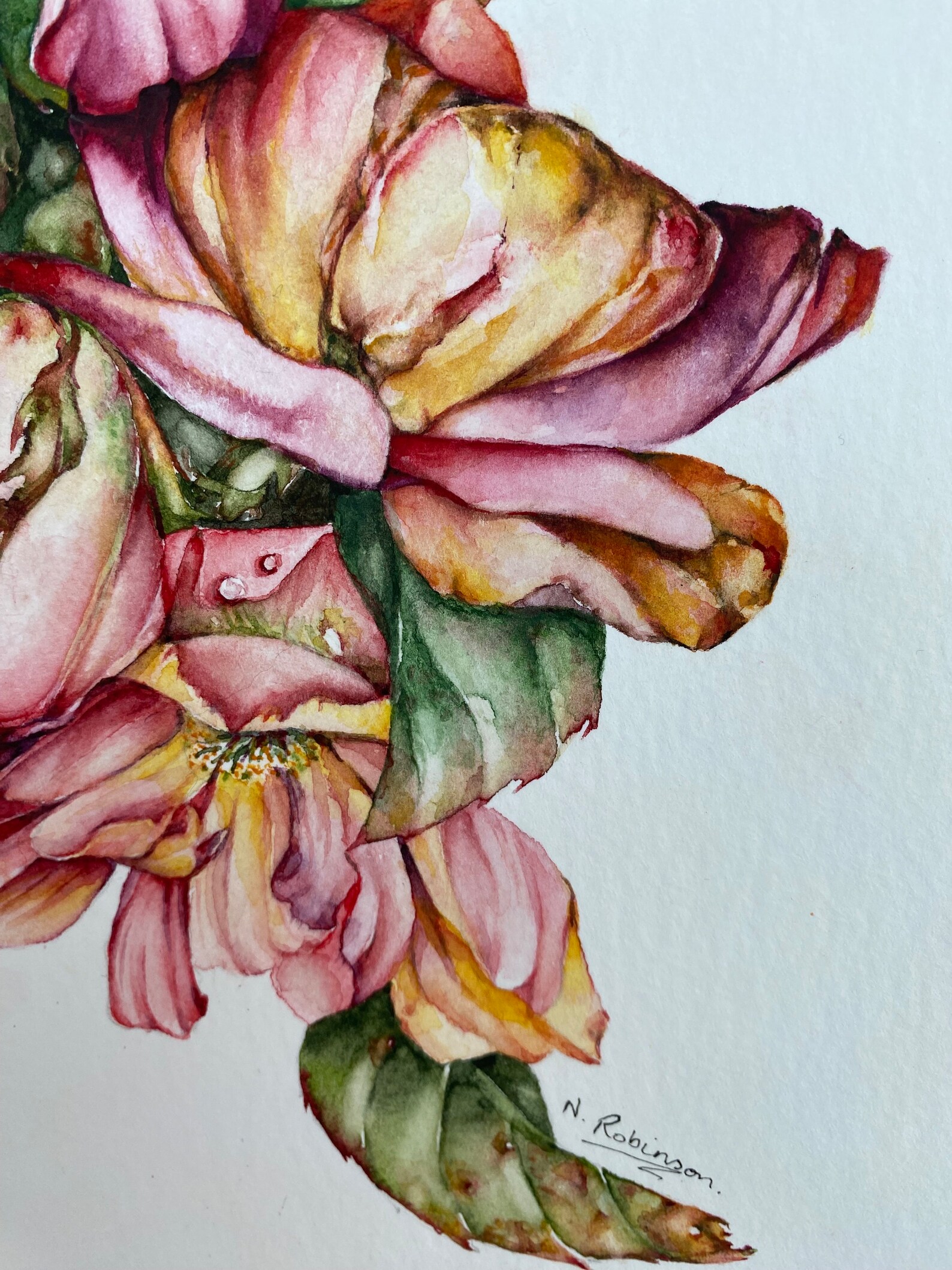 Roses in Their Glory, Original Painting in Watercolour by Norma ...