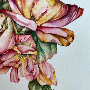 Roses in Their Glory, Original Painting in Watercolour by Norma ...