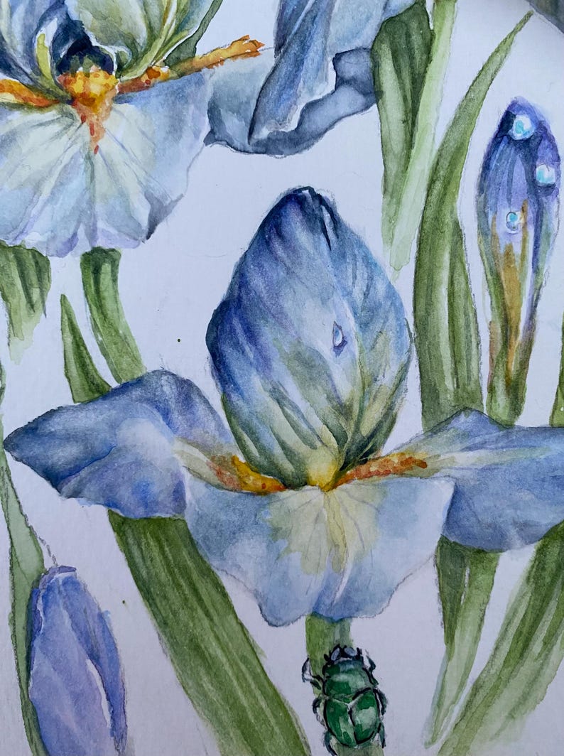 Blue Irises With Bee, Butterfly, Dragonfly, Ladybug and Beetle ...