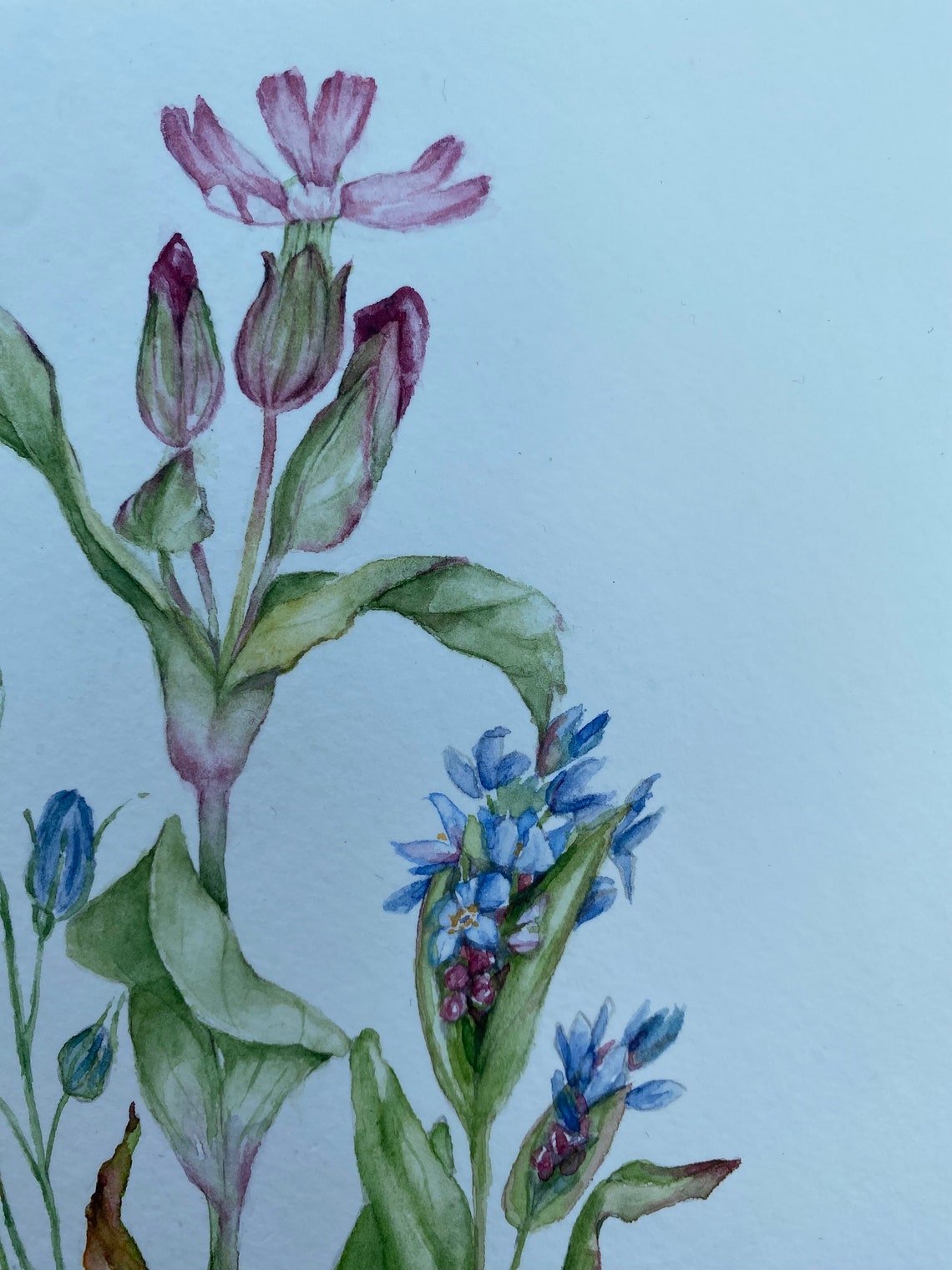 Wild Flowers , Original Painting in Watercolour by Norma Robinson - Etsy