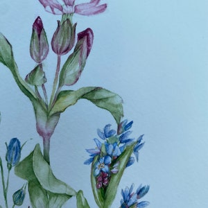 Wild Flowers , Original Painting in Watercolour by Norma Robinson - Etsy