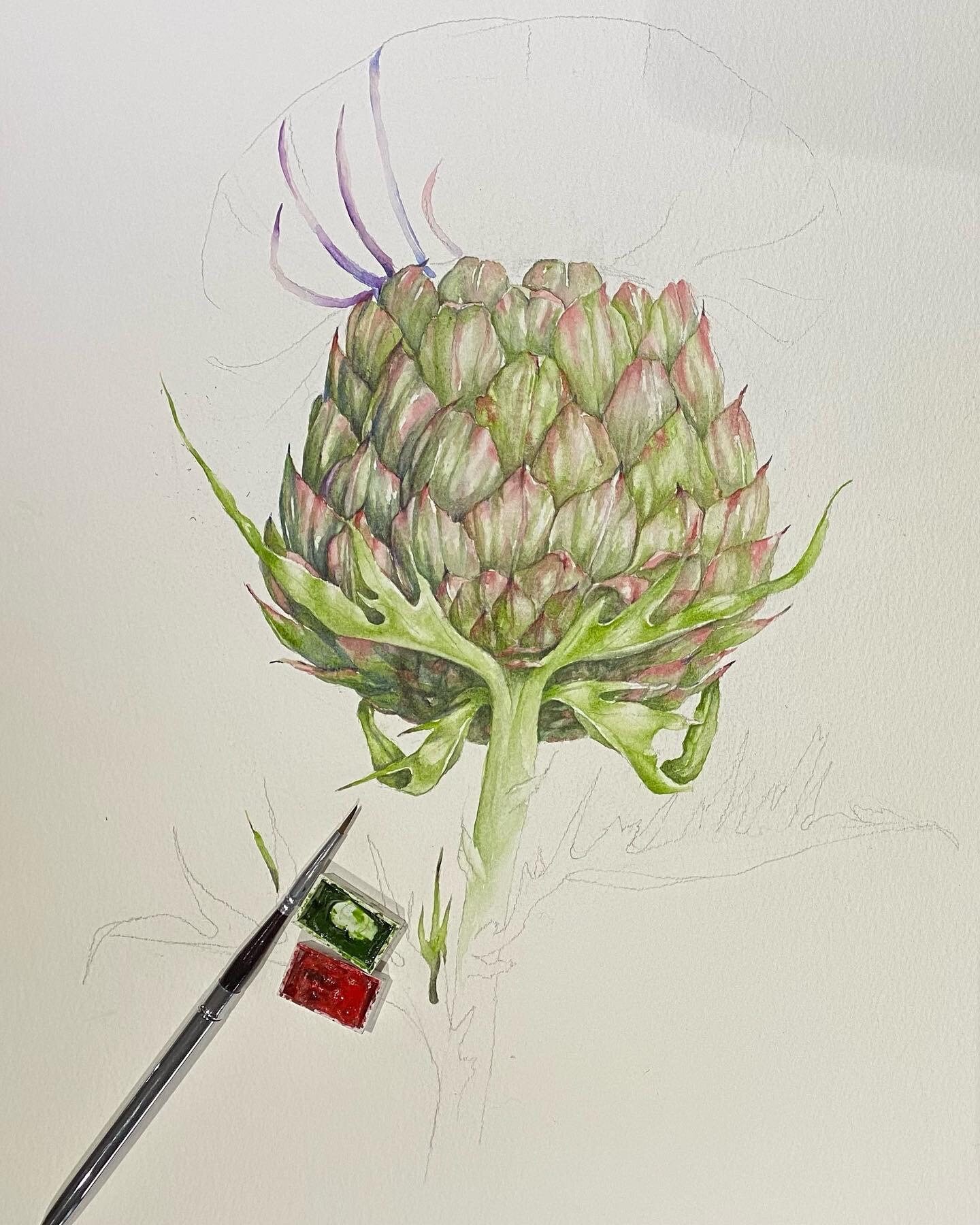 Scottish Thistle, Large, Original Painting by Norma Robinson - Etsy