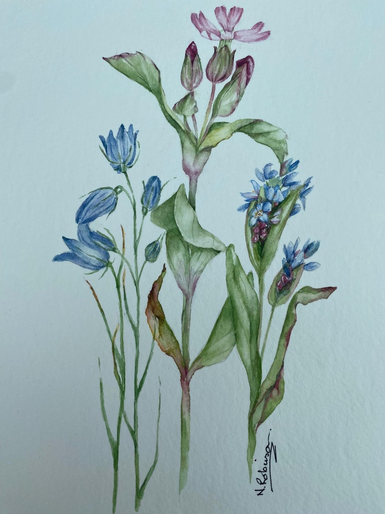 Wild Flowers , Original Painting in Watercolour by Norma Robinson - Etsy