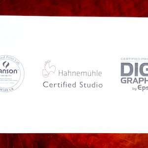 Hydrangea Flower 2, Limited Edition Print of Original Painting in ...