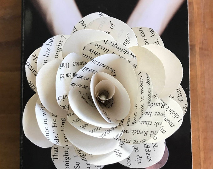 Edgar Allan Poe Book Roses - Etsy
