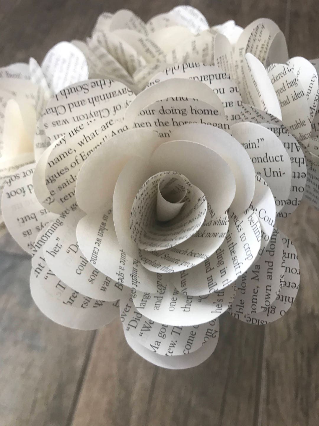 Gone With the Wind Book Roses - Etsy