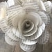Gone With the Wind Book Roses - Etsy
