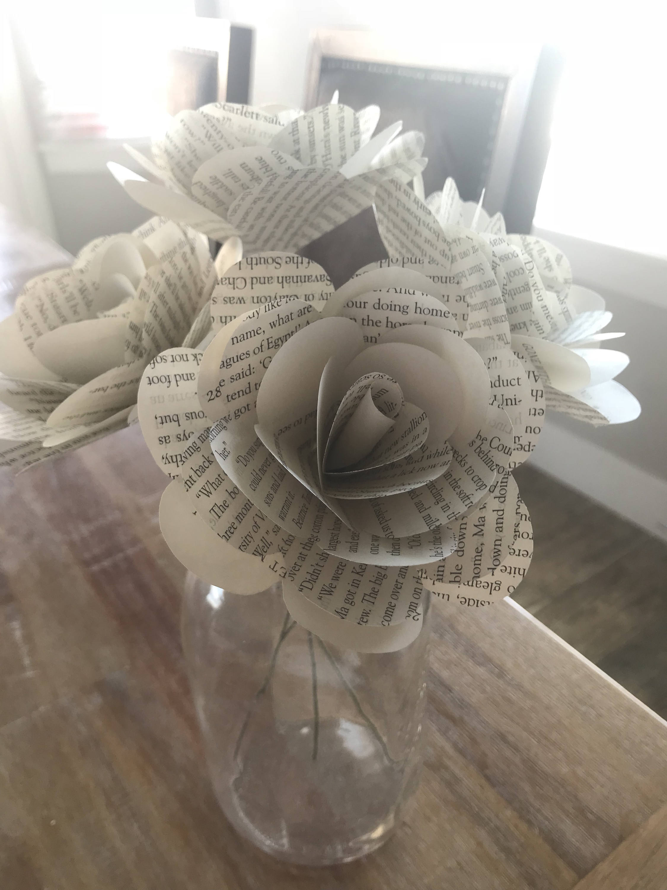 Gone With the Wind Book Roses - Etsy