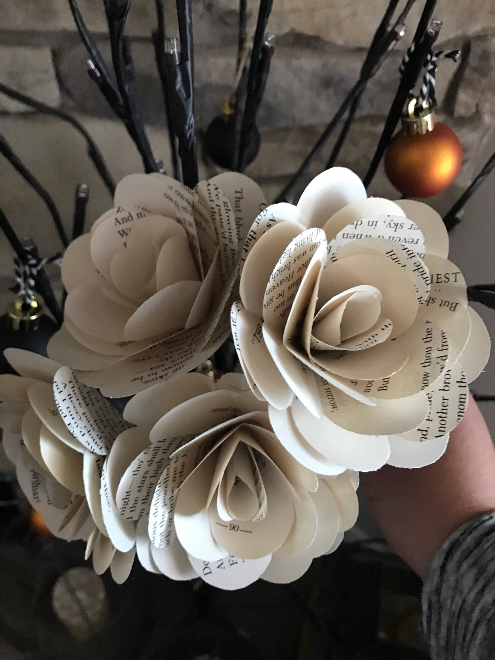 Edgar Allan Poe Book Roses - Etsy