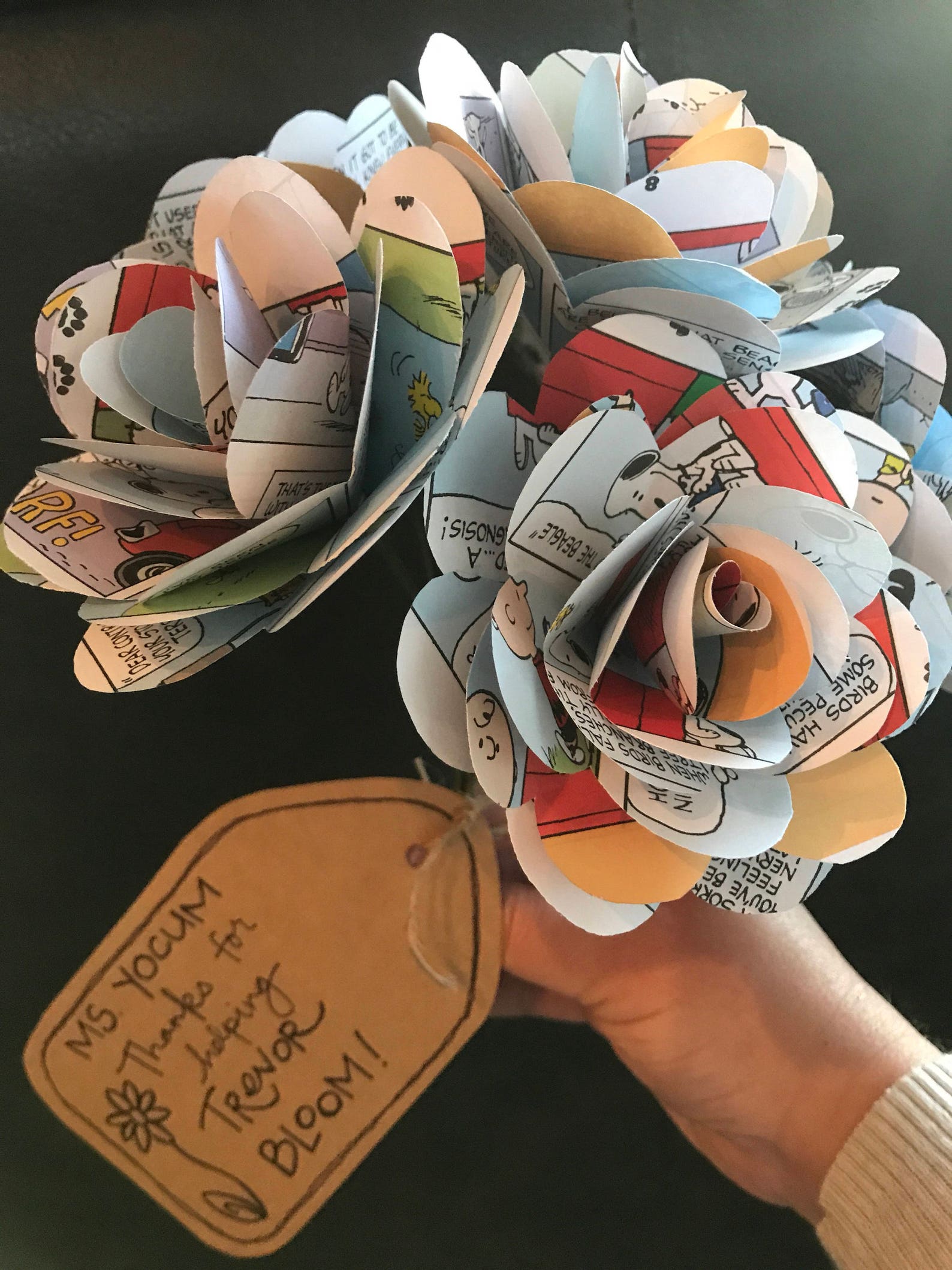 Snoopy Comic Book Roses - Etsy