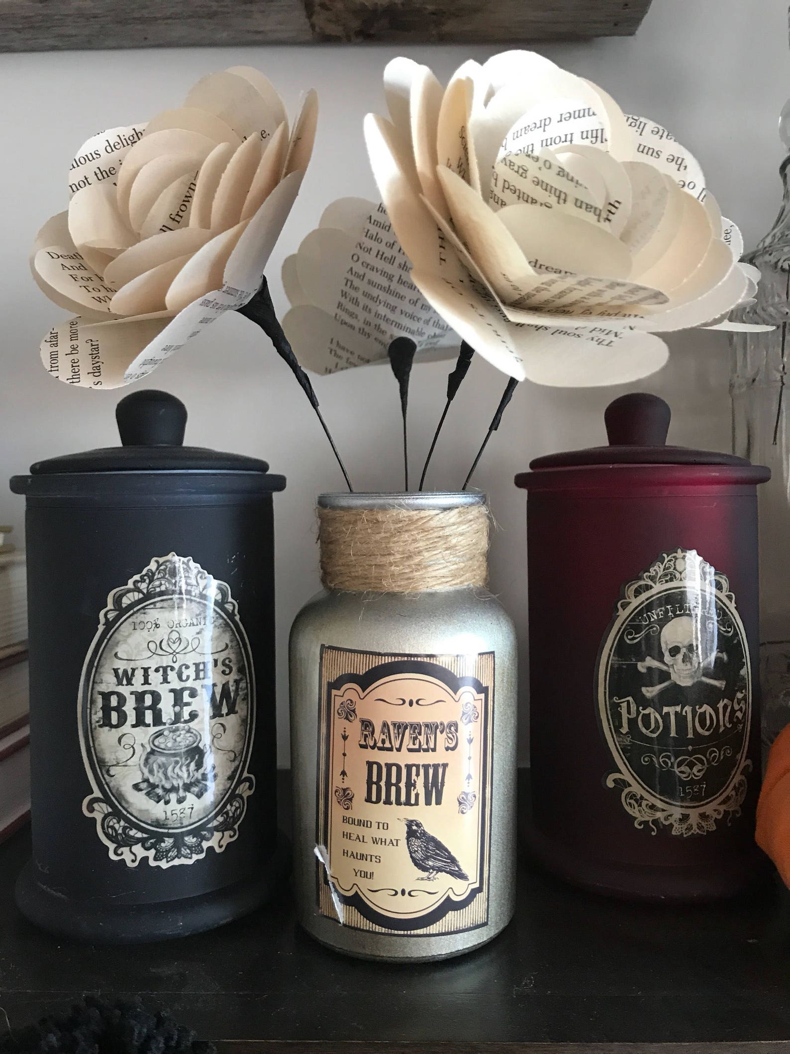 Edgar Allan Poe Book Roses - Etsy
