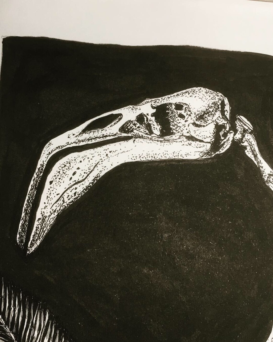 Flamingo Skull Print - Etsy