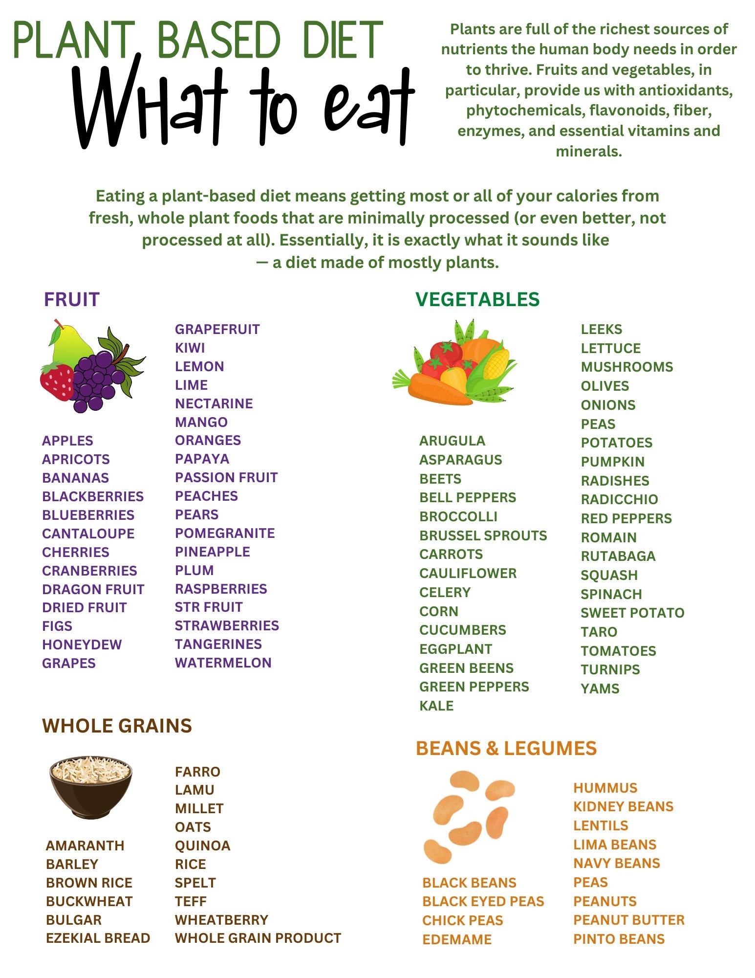 Plant Based Diet Guide Patient Education Information Food - Etsy