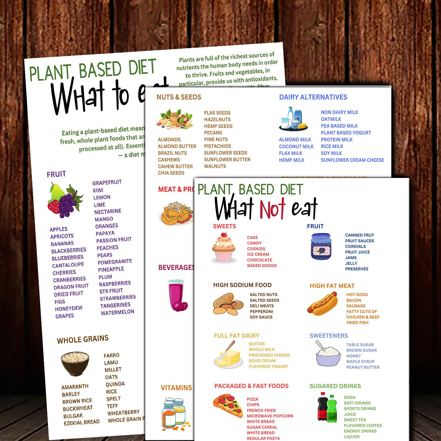 Plant Based Diet Guide Patient Education Information Food - Etsy
