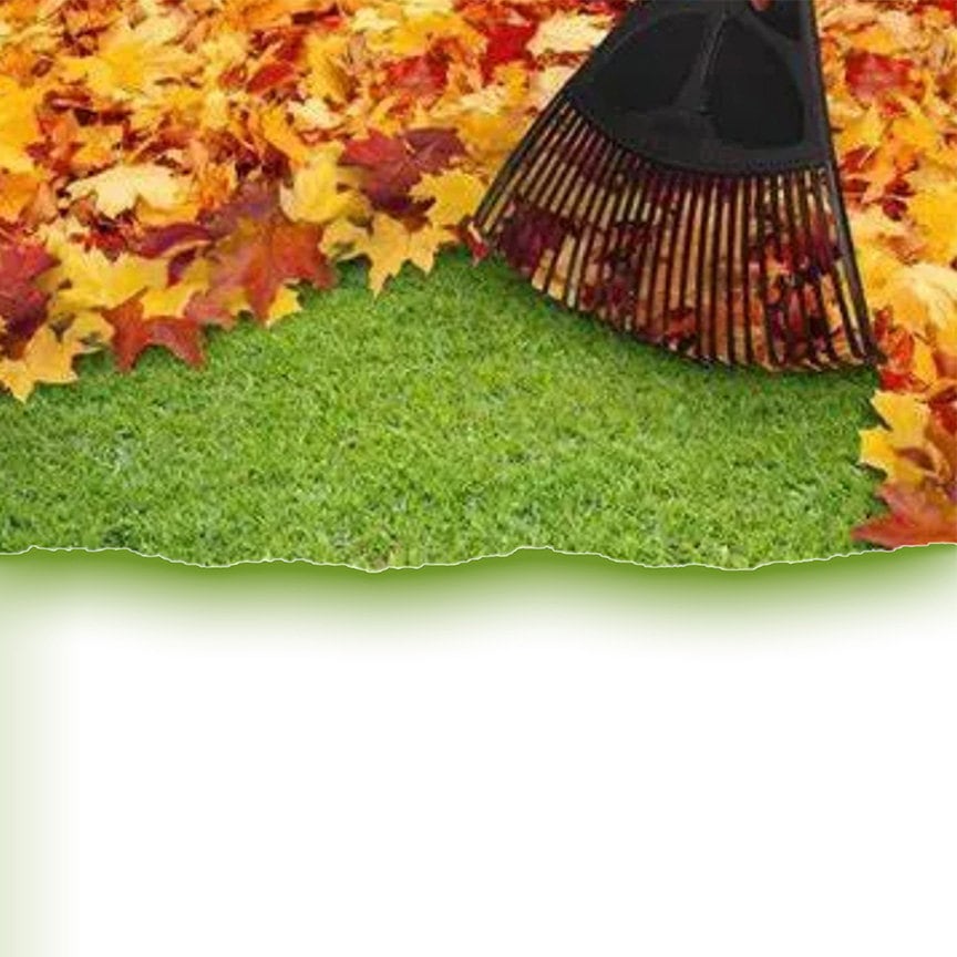 Fall Clean up Flyer and Instagram Post, Editable Photoshop Template ...