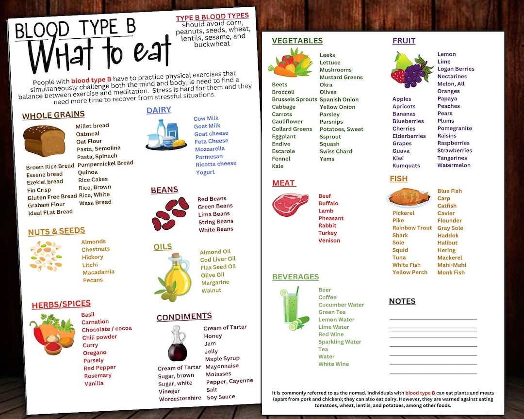 Blood Type B Food List and Diet Guide Blood Group Food Chart - Etsy