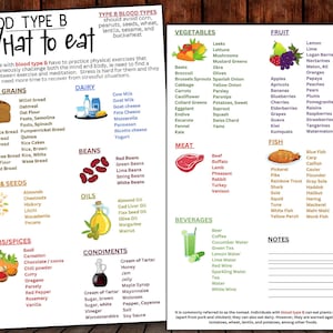 Blood Type B Food List and Diet Guide Blood Group Food Chart - Etsy