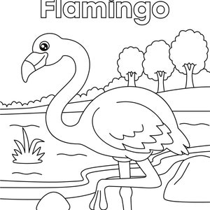 Cute Animal Coloring Pages for Kids Learning Classroom PDF DIGITAL ...