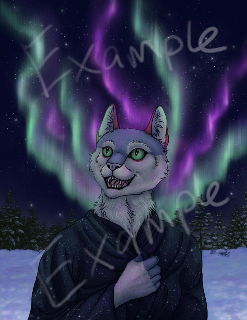 Beneath the Borealis YCH, Your Character Here, Human, Furry, Creature ...