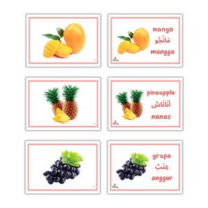 8 FRUITS Trilingual Flashcards - English, Arabic, Malay (A6) - Etsy