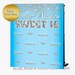 Sweet 16 Step and Repeat Blue and Silver Backdrop Winter - Etsy
