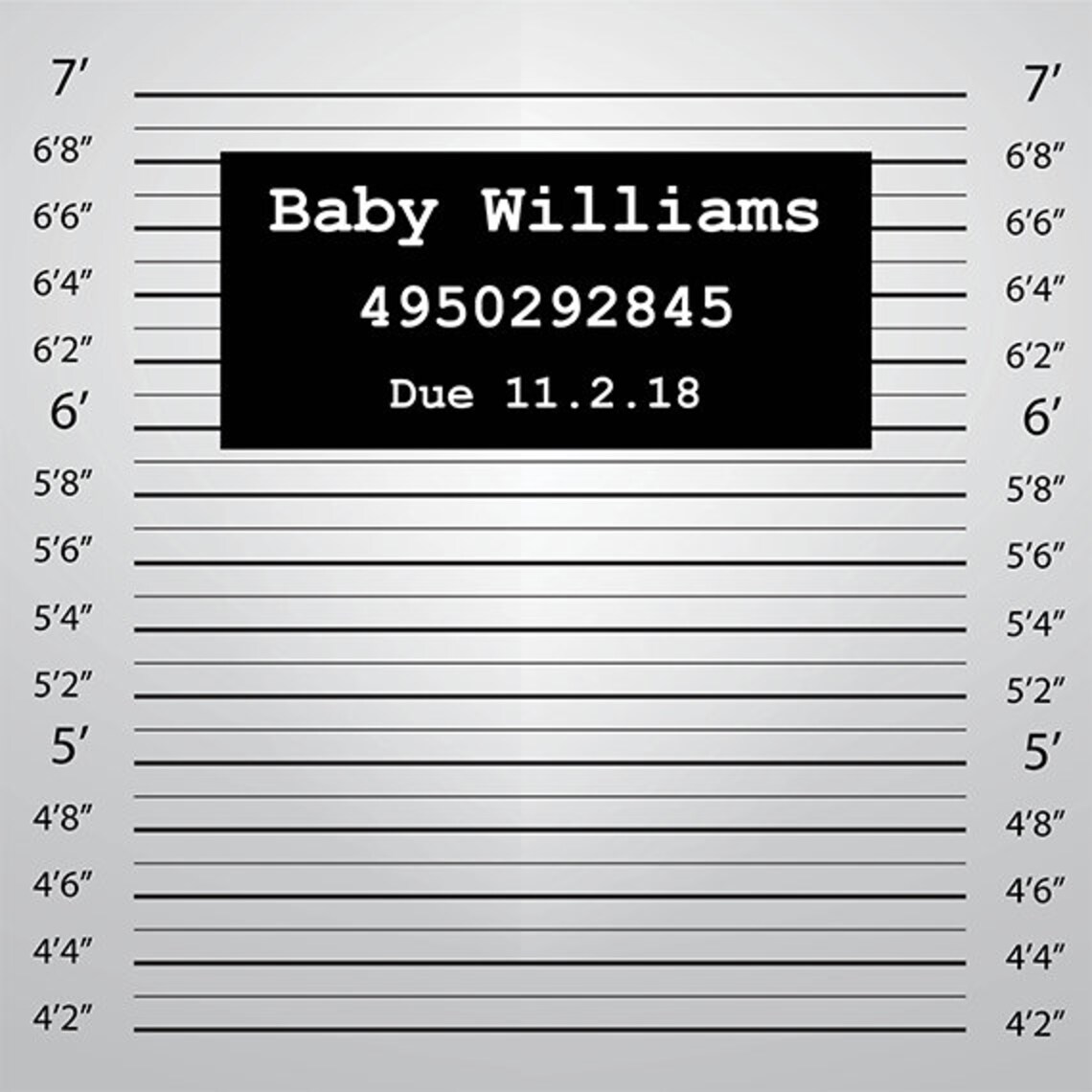 Mugshot Backdrop Mugshot Step and Repeat Police Backdrop | Etsy